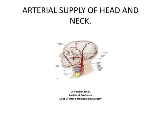 phlebotomy related vascular anatomy | PPTX | Death, Injury, or Military ...