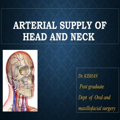 Interventional Neuroradiology: Anatomy of the internal carotid artery ...