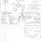 Arterial system flow chart.pdf