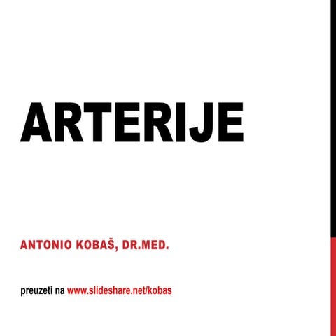 Arterije | PPSX