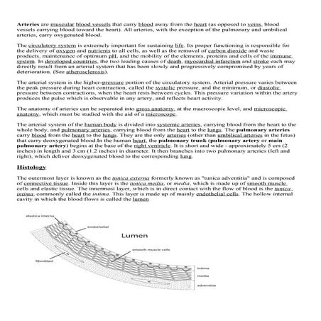 A Brief History of the Discovery of the Circulation of Blood in the ...