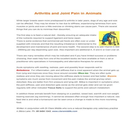 Arthritis & joint pain in animals | PDF