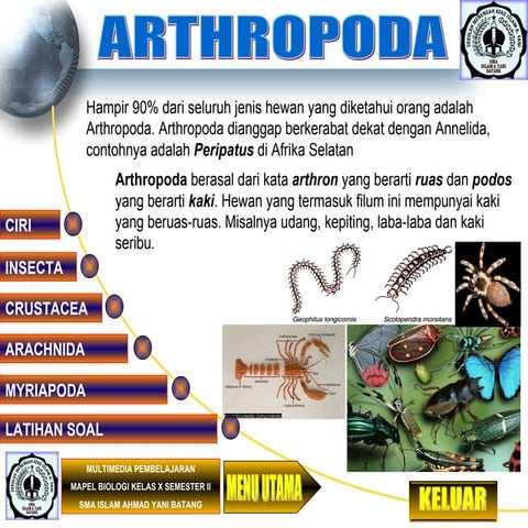 Arthropoda | PPT