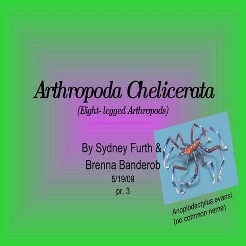 DNA for Middle School Science | PPT