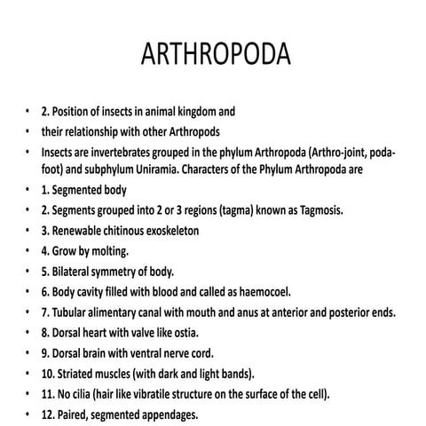 Insect thorax : Its areas, structure, function and modification in ...