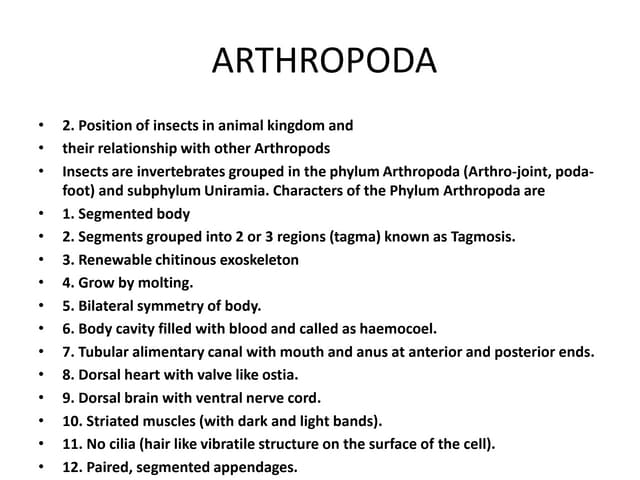 Insect thorax : Its areas, structure, function and modification in ...