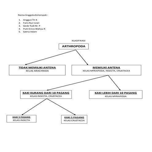 Arthropodha | DOCX