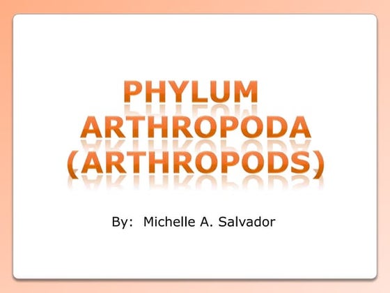 Cow eye – dissection and label | PPT