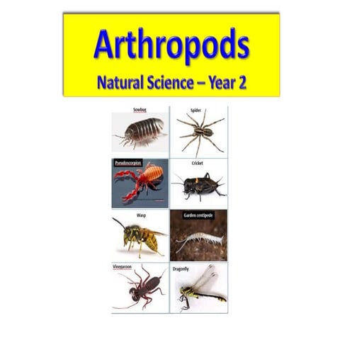 Arthropods, molluscs and worms | PPT