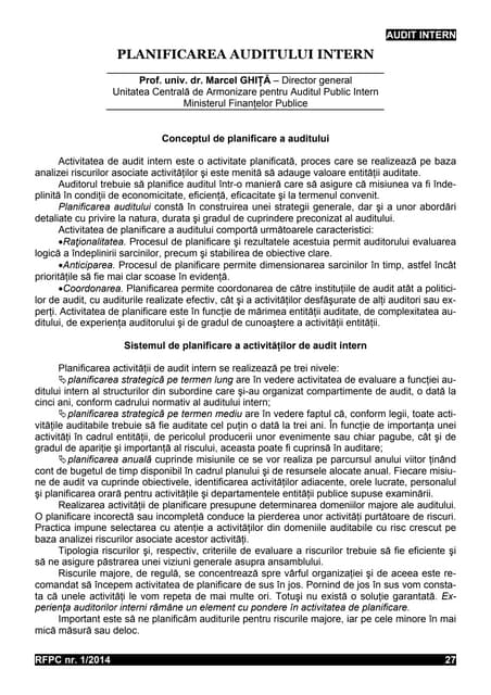 Raport de audit intern | DOCX