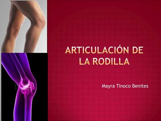 Anatomía de rodilla | PPT