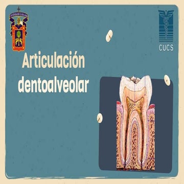 Articulación dentoalveolar - Exodoncia (1).pptx