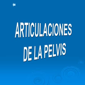 Articulaciones De La Pelvis Pptx