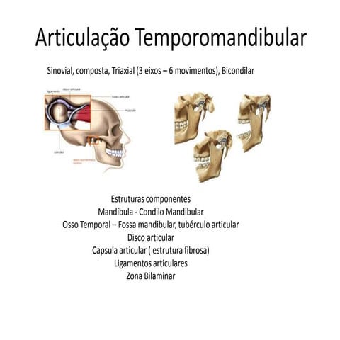 Atm articulação temporomandibular - hubertt grün | PDF