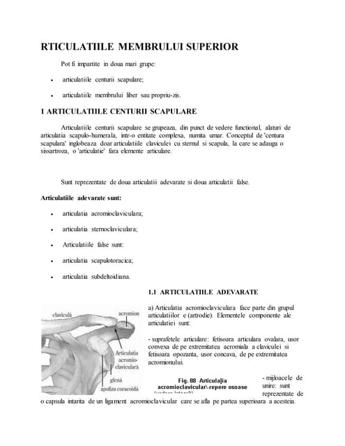 Elemente de structura si biomecanica a articulatiei genunchiului | PDF