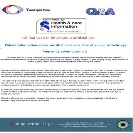 Artificial Eye Frequently Asked Questions Pdf Eye And Vision