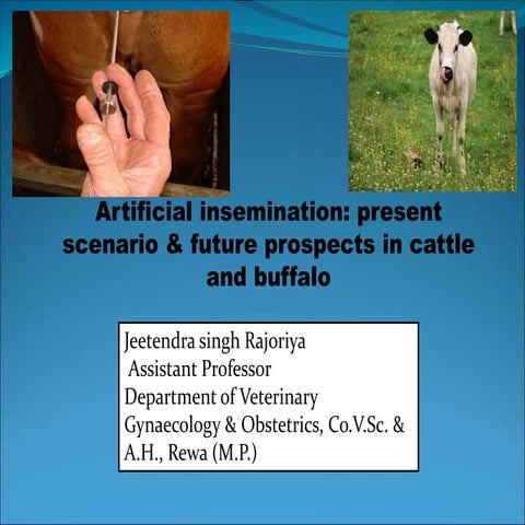 Artificial Insemination Present Scenerio and Future Prospects by Dr J S Rajoriya.ppt