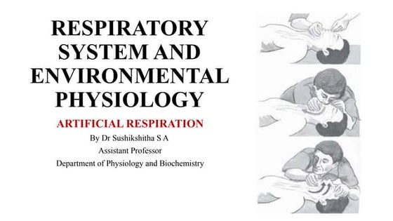 Artificial Respiration (Resuscitation method) | PDF | First Aid | Injuries