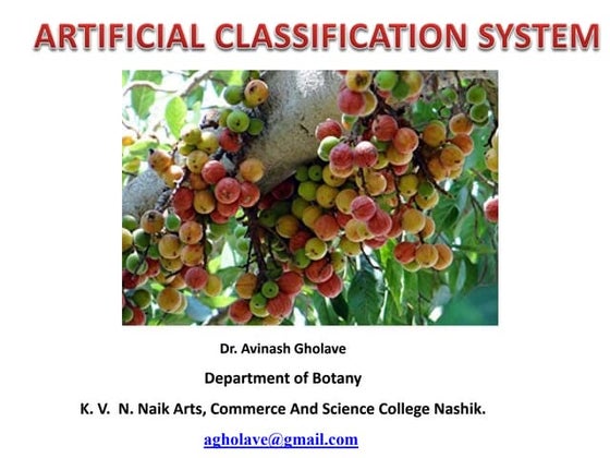 Engler & prantl system of classification | PPT