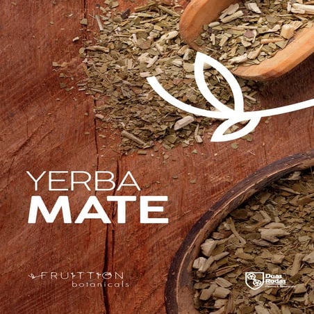 Effect of erva-mate tea on animals fed with the high-fat diet.