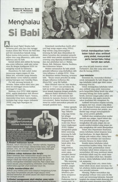 Postek Certificate | PDF