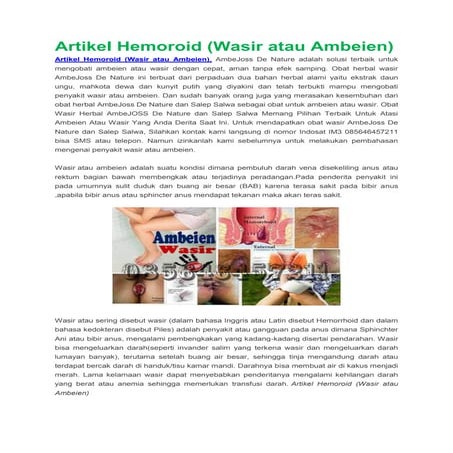 Leaflet tentang Penjelasan apa itu Hemoroid.pdf