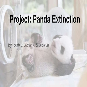 Art in action - panda extinction | PPTX