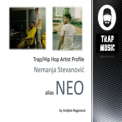 artist profile.pptx