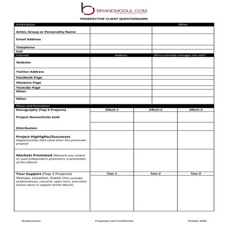 Artist Questionnaire | PDF