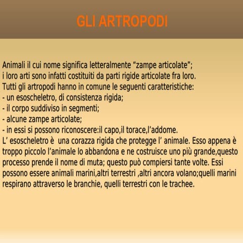 Artropodi | PPT