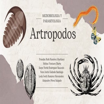 Presentación de los Artrópodos .pdf uni | PDF