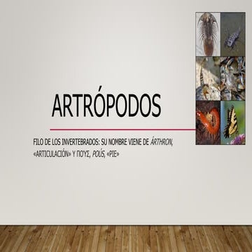 Artrópodos, Tipos, Características, Clases | PPTX