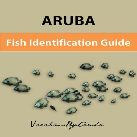 Aruba reef-creature-identification-guide-preview | PDF