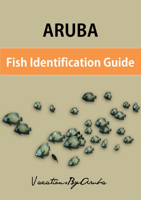 Aruba fish-identification-guide | PDF