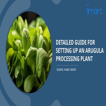 Setting Up a Successful Arugula Processing Plant: PPT | PPTX