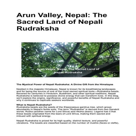Arun_Valley,_Nepal_The_Sacred_Land_of_Nepali_Rudraksha[1].docx