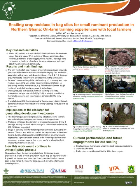 Haricot bean value chain development in Alaba Special District | PDF