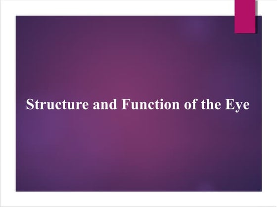 ppt on Eye anatomy | PPT