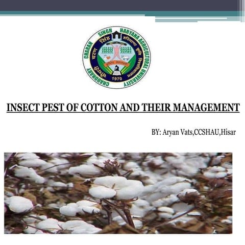 insect pest management in cotton crop | PPTX