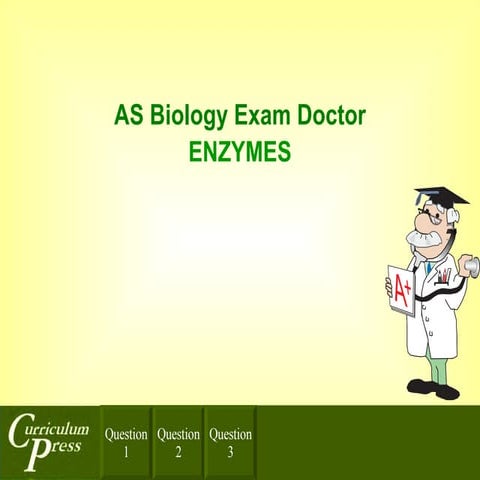 As 03 Enzymes | PPT