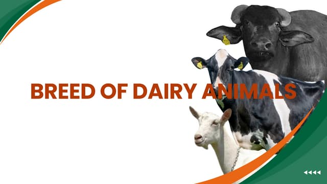 Various Breeds of farm animals PowerPoint | PPTX