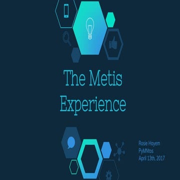 The Metis Experience Presentation | PPTX