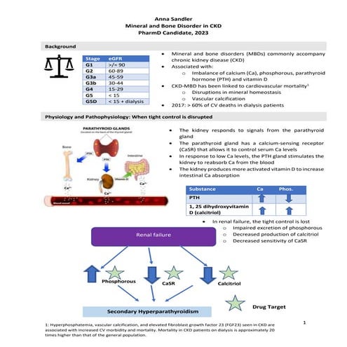 CKD MBD PRESENTATION.pptx