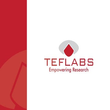 Introducing XFlash 6 | PDF