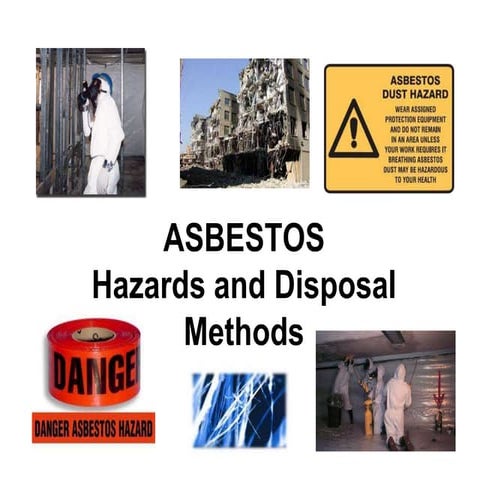 Asbestos 2012 Slideshow | PPSX