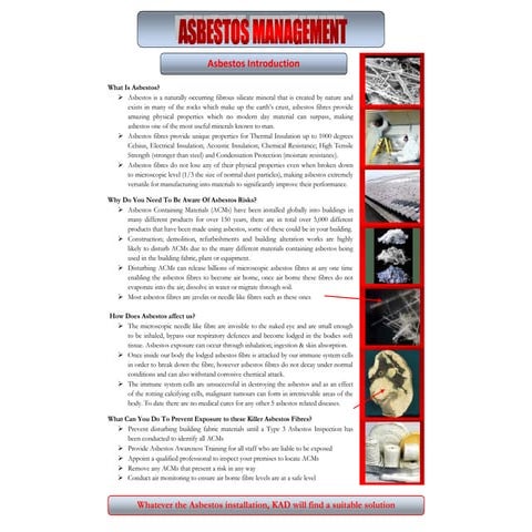 Asbestos Management | PPT