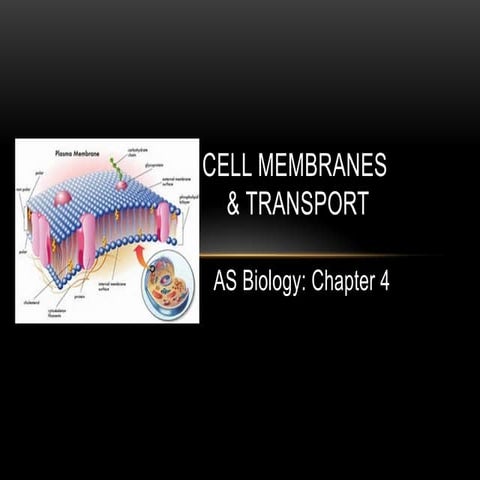 AS Bio_4 Cell membranes ^0 Transport.pptx