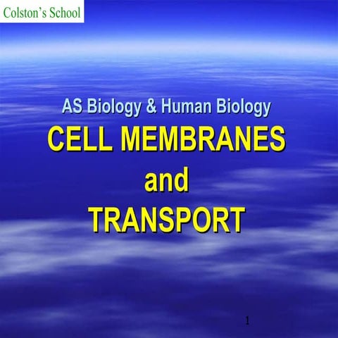 As biology cell membranes colstons | PPT