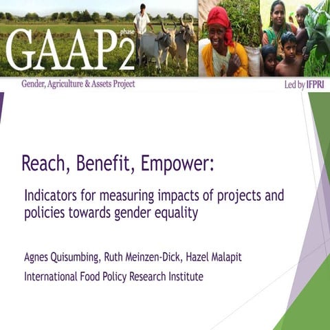 Reach, Benefit, Empower: Indicators for measuring impacts of programs ...