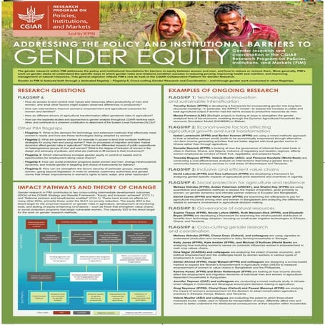 Addressing the policy and institutional barriers to gender equity | PDF